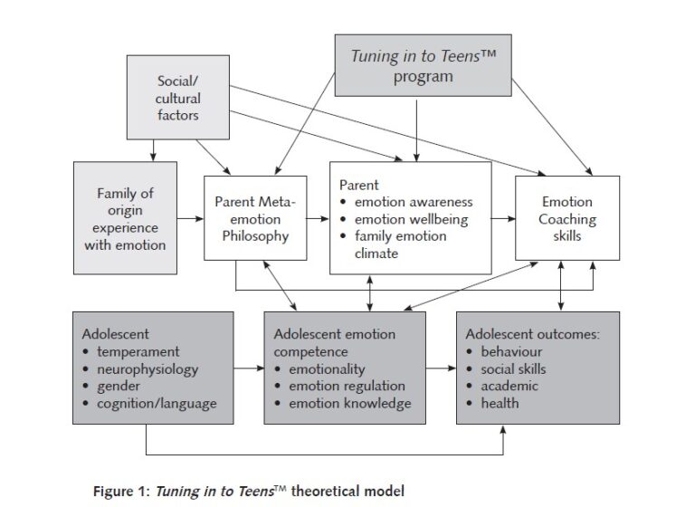 Tuning in to Kids for Professionals | Tuning in to Teens – Introduction (10 mins)